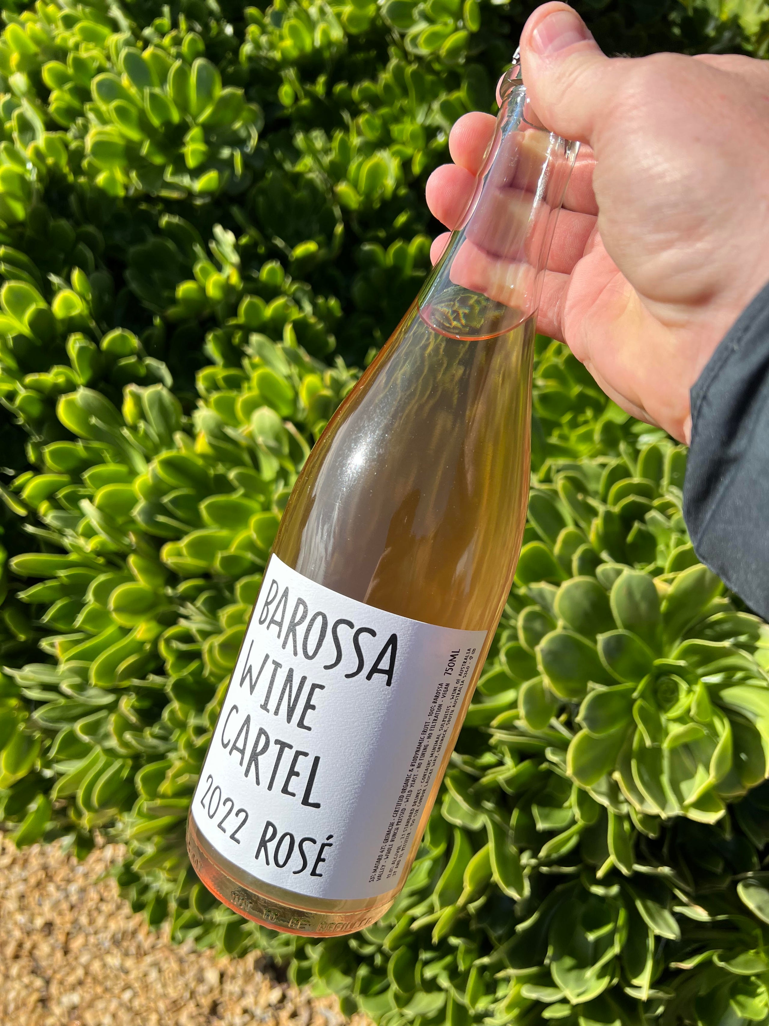 2022 Rosé | Barossa Wine Cartel